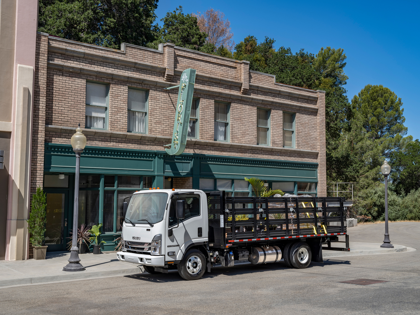 Isuzu N-Series Diesel